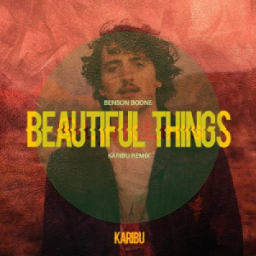 Beautiful Things - Benson Boone | Letra, Tradução e Significado | Ziipu ...